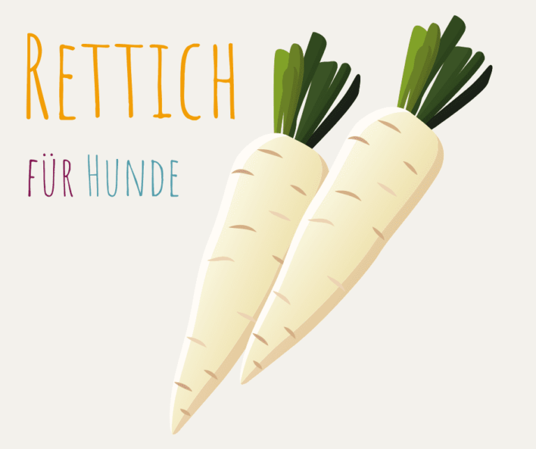 Rettich für Hunde - Kochen für Hunde