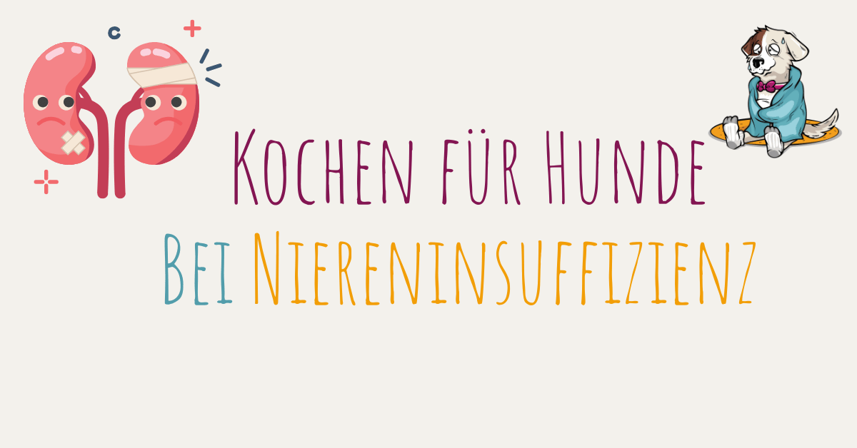 Rezepte Fur Hunde Mit Niereninsuffizienz